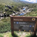 Illawong Walk, New South Wales, Australia - 330 Reviews, Map | AllTrails