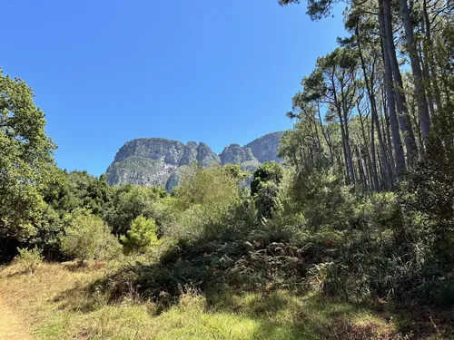 Best Hikes and Trails in Newlands Forest | AllTrails