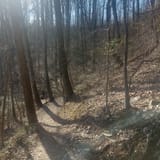 Stringers Ridge via Blue Trail, Tennessee - 1,997 Reviews, Map | AllTrails