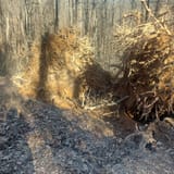 Stringers Ridge via Blue Trail, Tennessee - 1,997 Reviews, Map | AllTrails