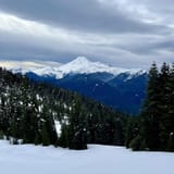 Excelsior Pass Trail, Washington - 571 Reviews, Map | AllTrails