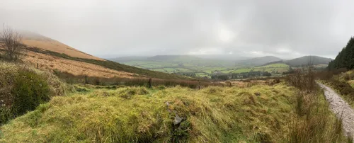 Best Forest Trails in Ballyhoura Trail Park | AllTrails