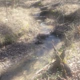 Tree Top Nature Trail, Alabama - 261 Reviews, Map | AllTrails