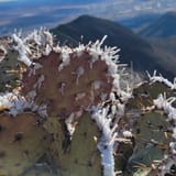 South Franklin Mountain via Ron Coleman Trail, Texas - 421 Reviews, Map ...