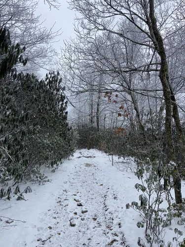 Best Hikes and Trails in Hidden Valley Wildlife Management Area | AllTrails