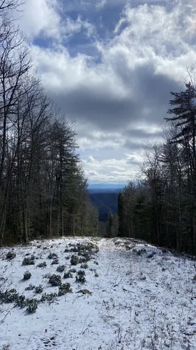 Best Hikes and Trails in Hidden Valley Wildlife Management Area | AllTrails