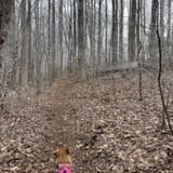 Jarrard Gap, Slaughter Creek, and Appalachian Trail Loop, Georgia - 378 ...