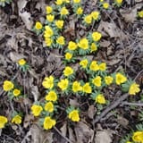 Lancaster Junction Recreation Trail, Pennsylvania - 761 Reviews, Map ...