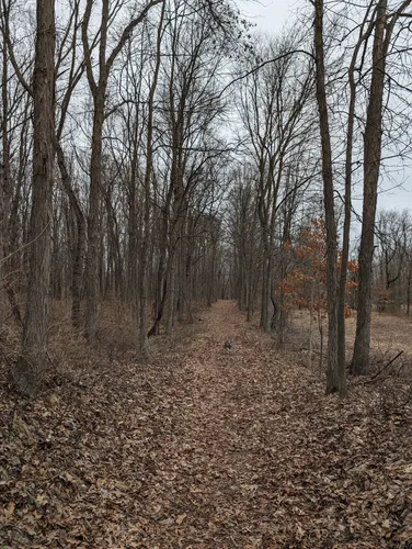 Best Hikes and Trails in Cranberry Lake Park | AllTrails