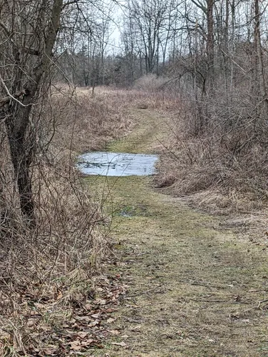 Best Hikes and Trails in Cranberry Lake Park | AllTrails