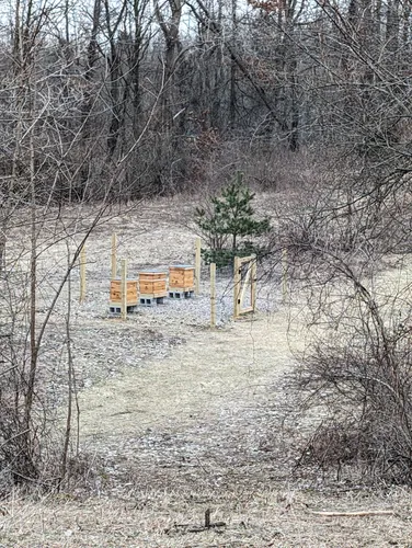 Best Hikes and Trails in Cranberry Lake Park | AllTrails