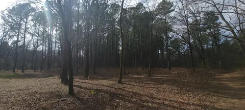 Best Hikes and Trails in Chapman Mountain Nature Preserve | AllTrails