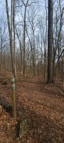 Best Hikes and Trails in Chapman Mountain Nature Preserve | AllTrails