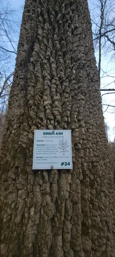 Best Hikes and Trails in Chapman Mountain Nature Preserve | AllTrails