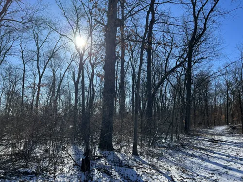 Best Hikes and Trails in Hunt Woods Park | AllTrails