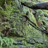 Cecilia Waterfall via Cecilia Forest, Western Cape, South Africa ...
