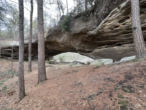 Best Off Road Driving Trails in Kentucky | AllTrails