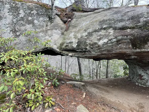 Best Off Road Driving Trails in Kentucky | AllTrails