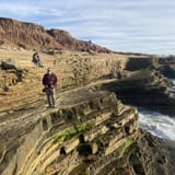 Point Loma Tidepools and Coastal Trail, California - 722 Reviews, Map ...