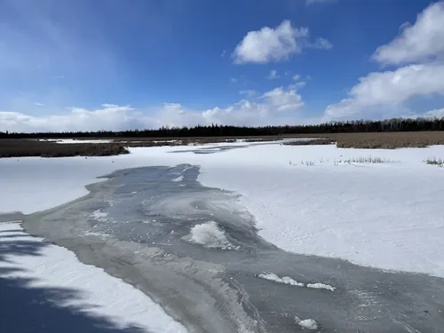 Best Hikes and Trails in Ken Reid Conservation Area | AllTrails