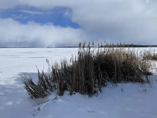 Best Hikes and Trails in Ken Reid Conservation Area | AllTrails