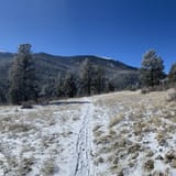 Ben Tyler Trail, Colorado - 705 Reviews, Map | AllTrails