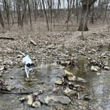 Clinton Lake North Shore Loop, Kansas - 348 Reviews, Map | AllTrails