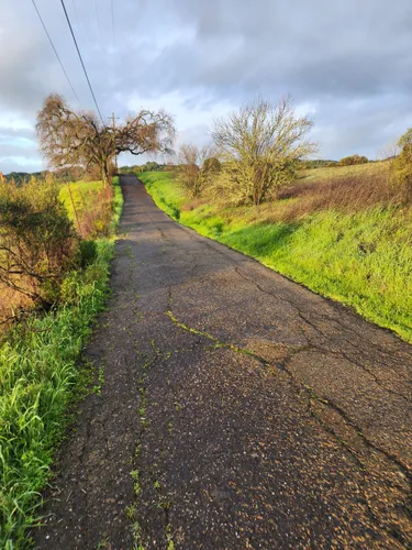 Best Hikes and Trails in Alston Park | AllTrails