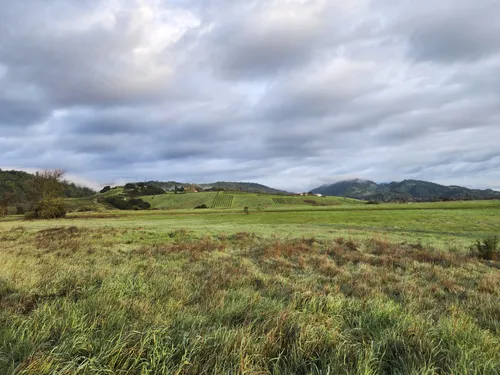 Best Hikes and Trails in Alston Park | AllTrails