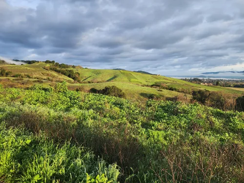 Best Hikes and Trails in Alston Park | AllTrails