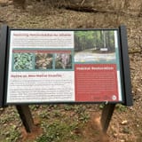 Big Creek Greenway Trail: Forsyth, Georgia - 654 Reviews, Map | AllTrails