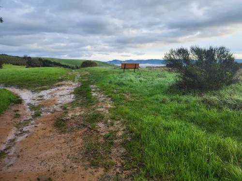 Best Hikes and Trails in Alston Park | AllTrails