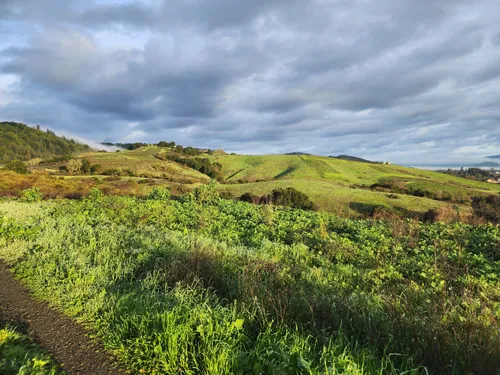 Best Hikes and Trails in Alston Park | AllTrails