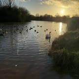 Hendre Lake Park, Cardiff, Wales - 52 Reviews, Map | AllTrails