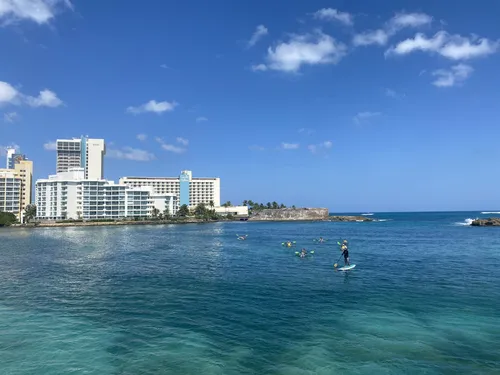 Best Hikes and Trails in Maricao State Forest | AllTrails