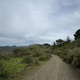Round Top, Volcanic and Skyline Loop, California - 2,871 Reviews, Map ...