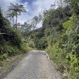 Cerro de Punta, Central Region, Puerto Rico - 129 Reviews, Map | AllTrails