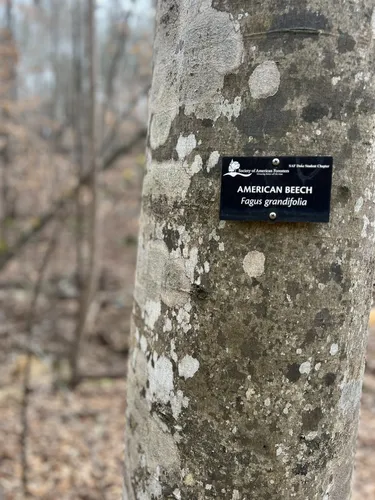 Best Hikes and Trails in Duke Forest | AllTrails