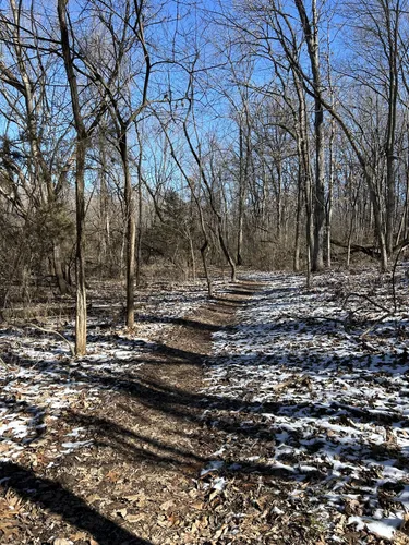 Best Hikes and Trails in Lion's Lake/ Culp Park | AllTrails
