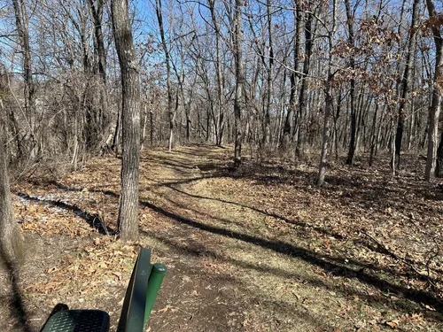 Best Hikes and Trails in Lion's Lake/ Culp Park | AllTrails