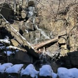 Allison Park Loop, New Jersey - 954 Reviews, Map | AllTrails