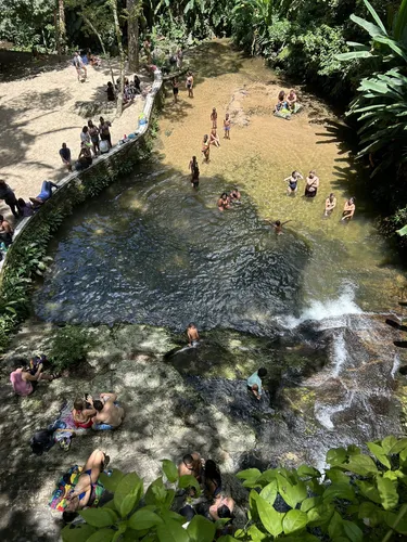 Best Walking Trails in Tijuca National Park | AllTrails