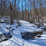 Lost Canyon Trail, Wisconsin - 880 Reviews, Map | AllTrails