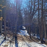 Lost Canyon Trail, Wisconsin - 880 Reviews, Map | AllTrails