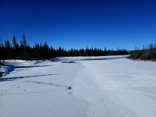 Best Hikes and Trails in Weaselhead Flats | AllTrails