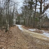 Navarino Nature Center Loop Trail, Wisconsin - 169 Reviews, Map | AllTrails