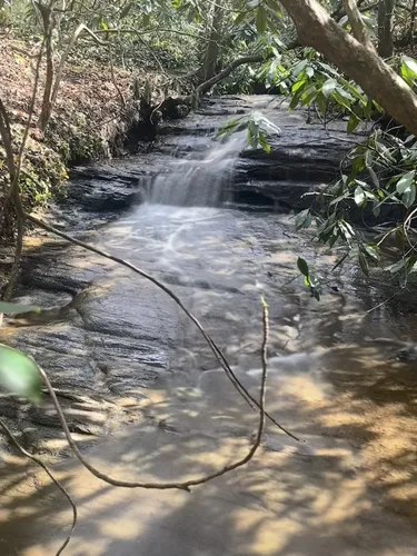 Best Hikes and Trails in Devils Fork State Park | AllTrails