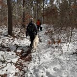 Island Loop Trail, Massachusetts - 122 Reviews, Map | AllTrails