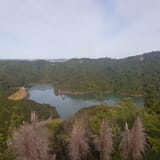 Wairoa Dam Lookout Loop, Auckland, New Zealand - 236 Reviews, Map ...