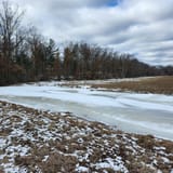 Navarino Nature Center Loop Trail, Wisconsin - 169 Reviews, Map | AllTrails